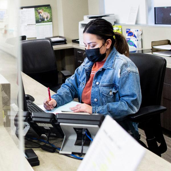 Implantable Loop Recorder Placement | SJPP